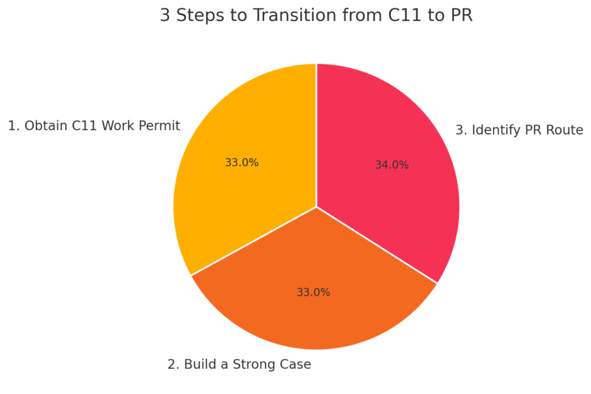 C11 Work Permit