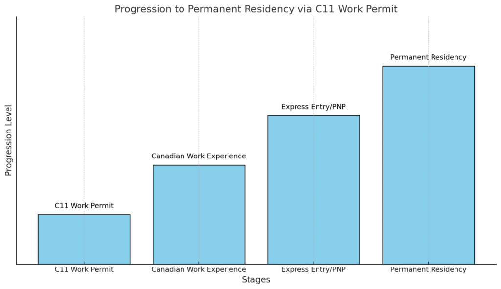 C11 Work Permit