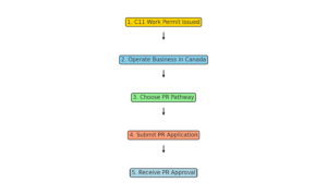 C11 Work Permit